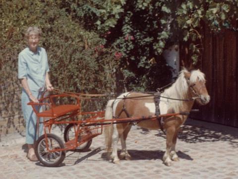 Neta Snook | Ames History Museum